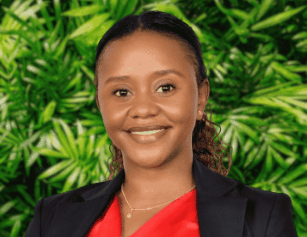 DPI Use Cases Explorer